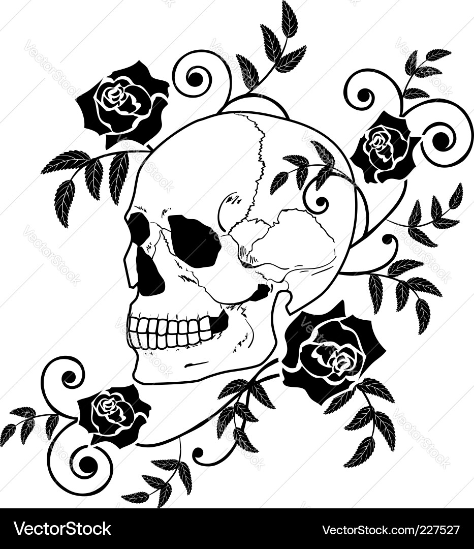 Skull and roses Royalty Free Vector Image - VectorStock