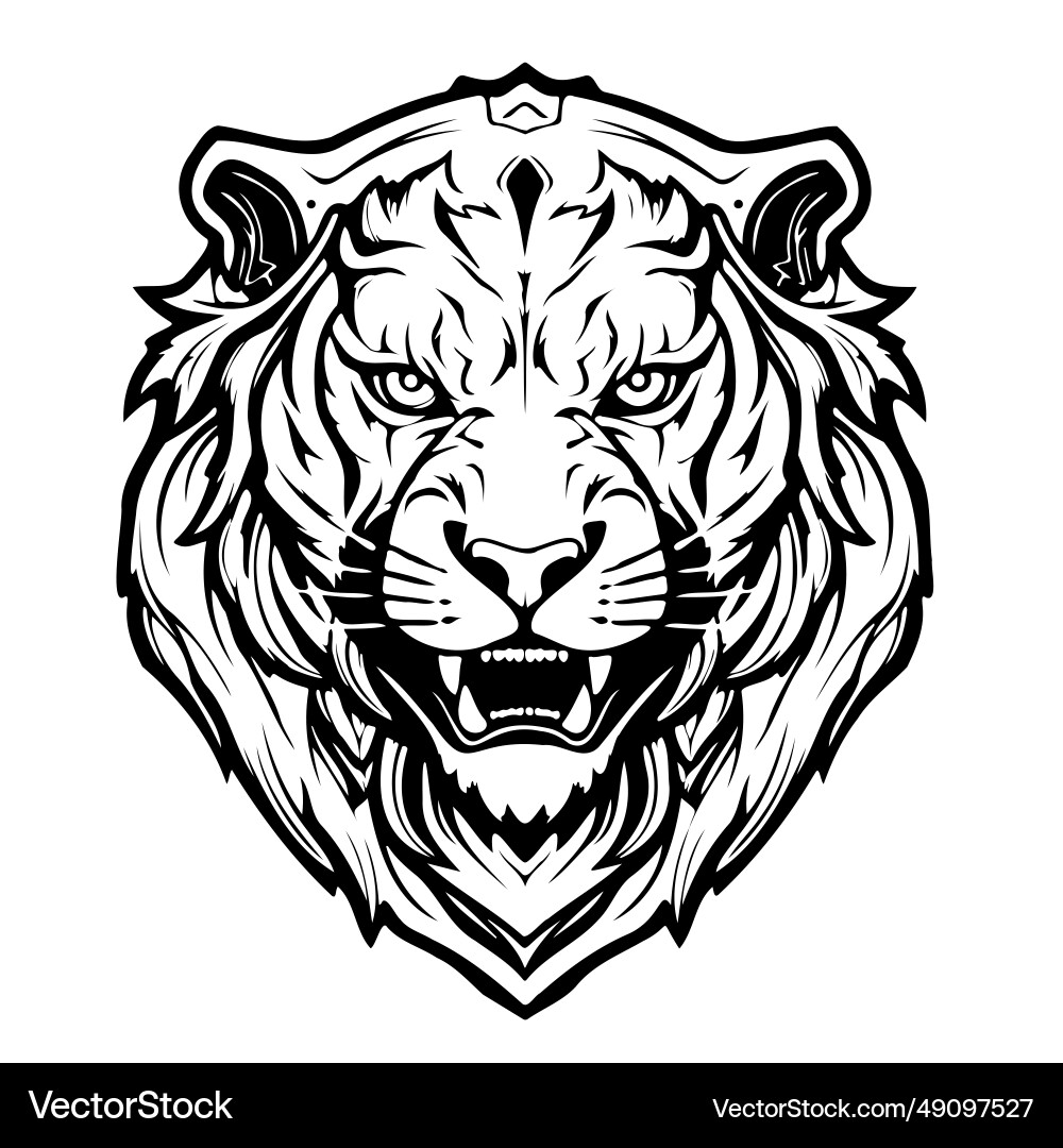 Tiger head Royalty Free Vector Image - VectorStock