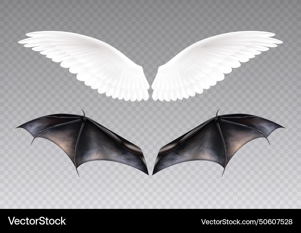 Daemon angel wings set Royalty Free Vector Image