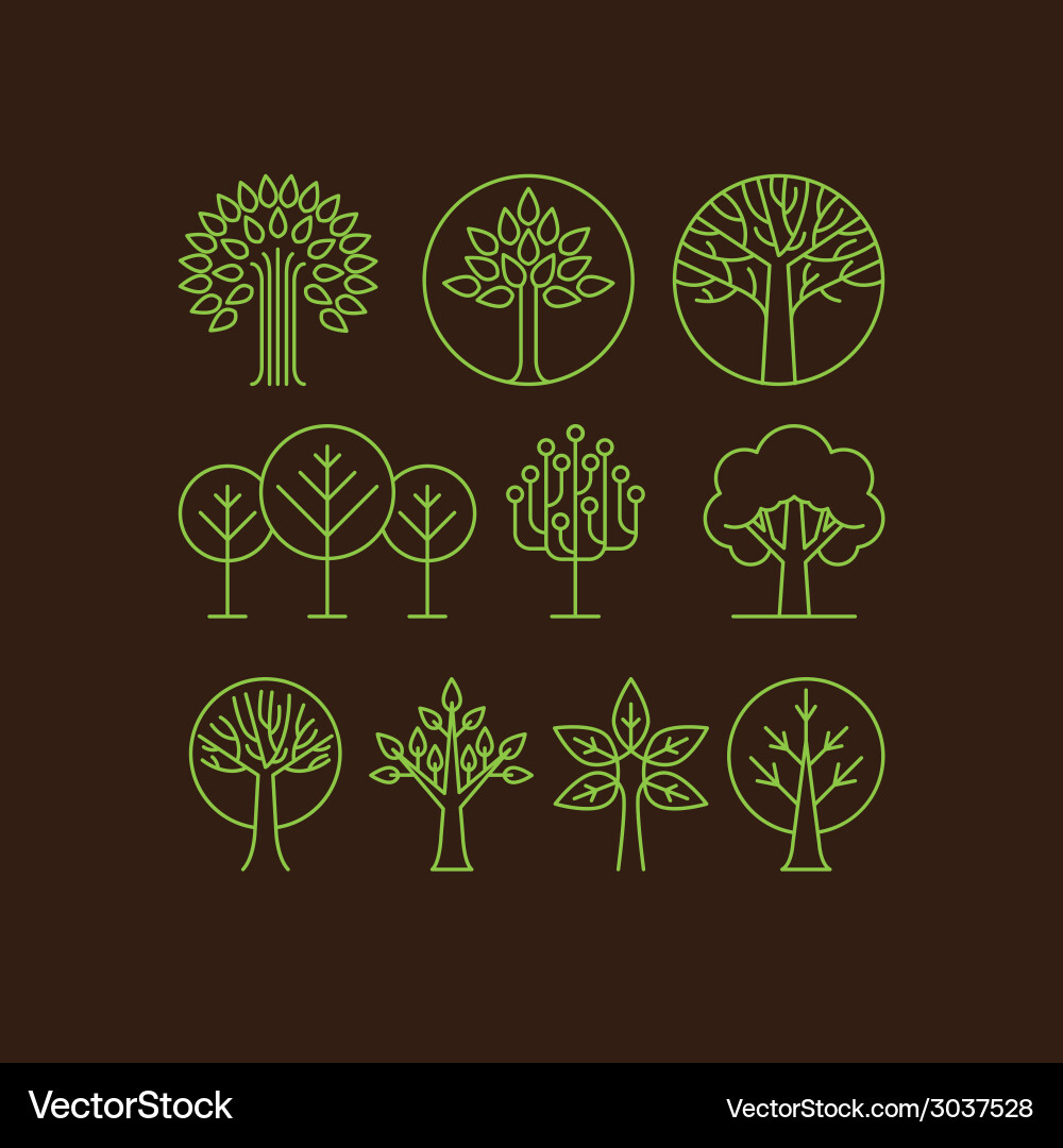 Organic tree icons Royalty Free Vector Image - VectorStock