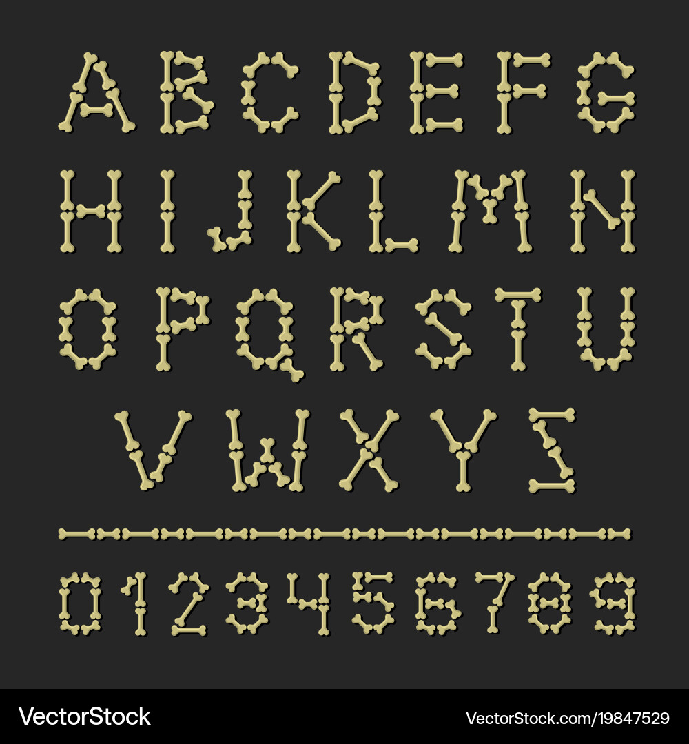 Bones alphabet abc letters and numbers set Vector Image