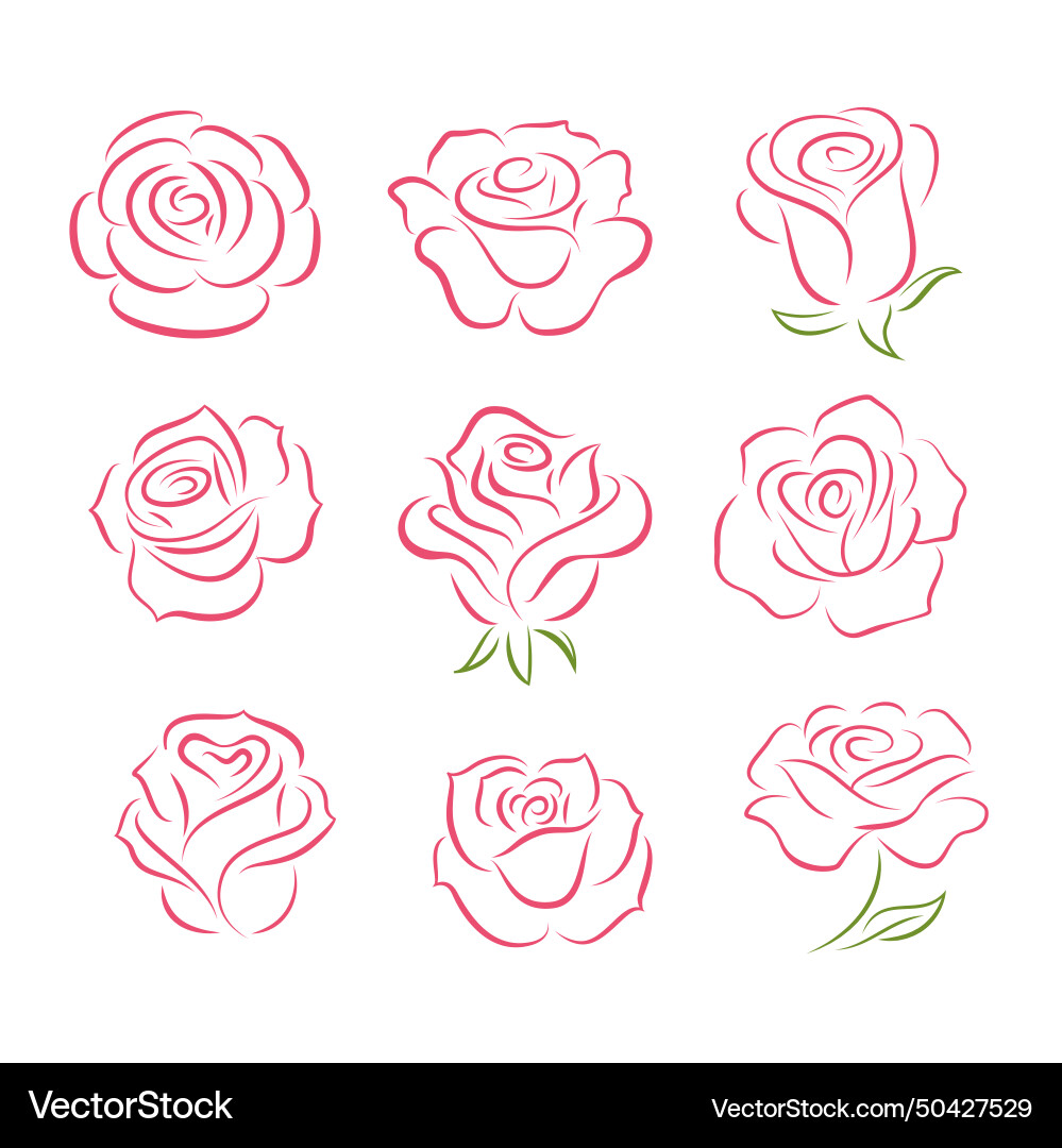 Roses design elements – Royalty-Free Vector | VectorStock