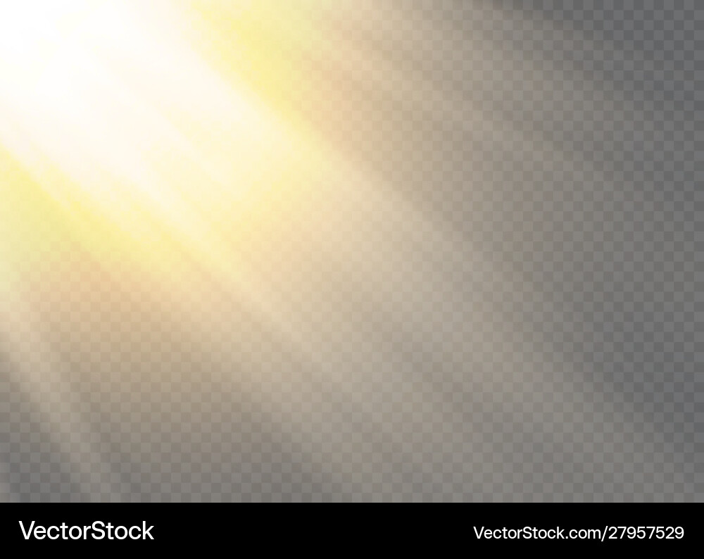 Transparentes Sonnenlicht Speziallinsen-Flack Vektorbild