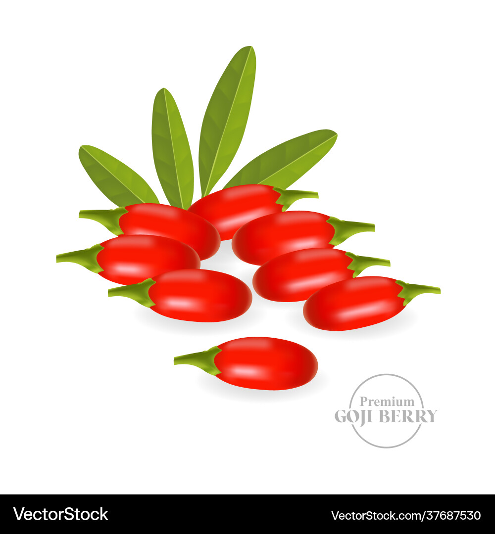 Realistic fresh goji berry Royalty Free Vector Image