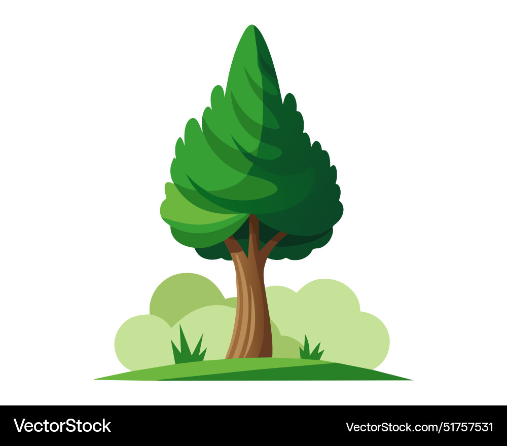 Cypress tree outline isolated flat on white Vector Image