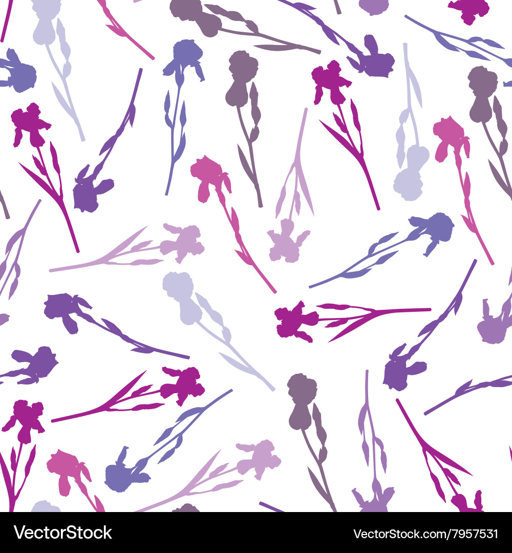 Iris pattern Royalty Free Vector Image - VectorStock