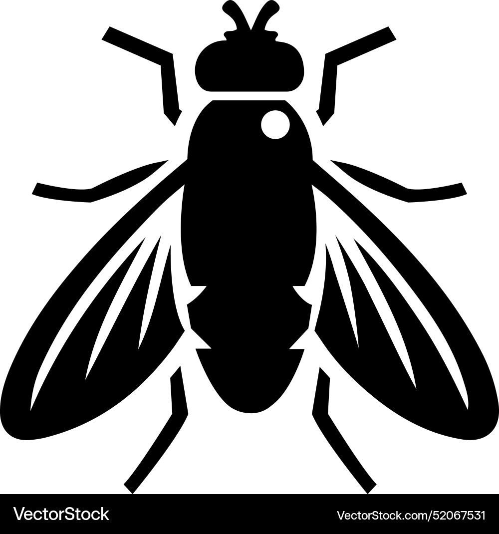 Wings of wonder fly silhouette Royalty Free Vector Image