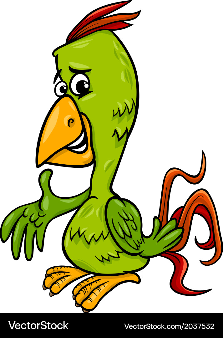 Parrot bird cartoon Royalty Free Vector Image - VectorStock