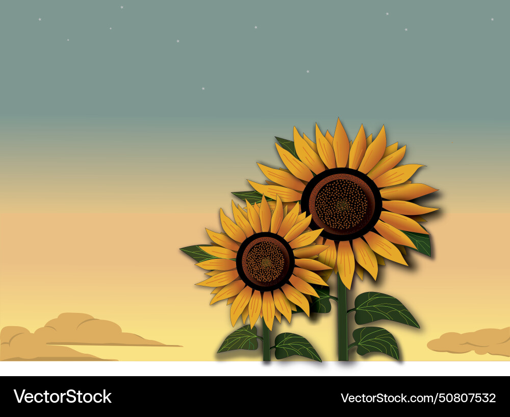 Sunflower sunsets Royalty Free Vector Image - VectorStock