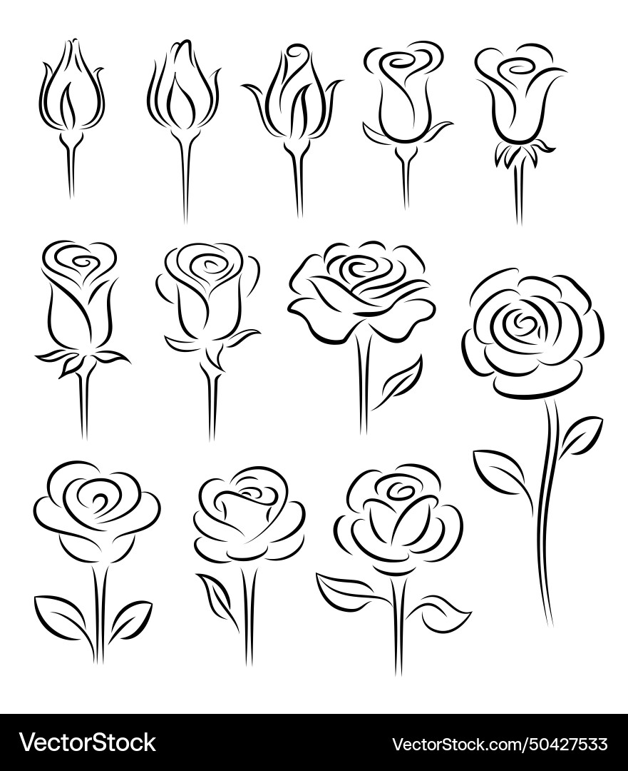 Roses design elements Royalty Free Vector Image