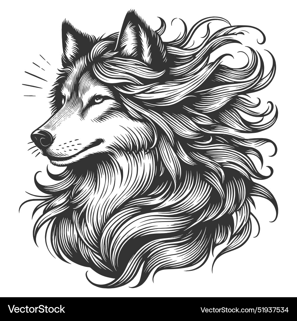 Majestic wolf with flowing fur engraving Vector Image