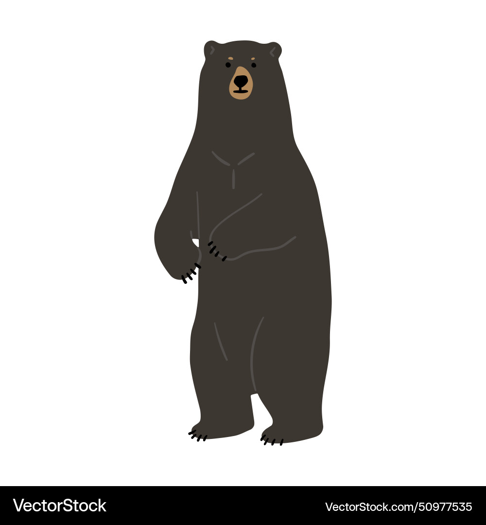American black bear single 1 Royalty Free Vector Image