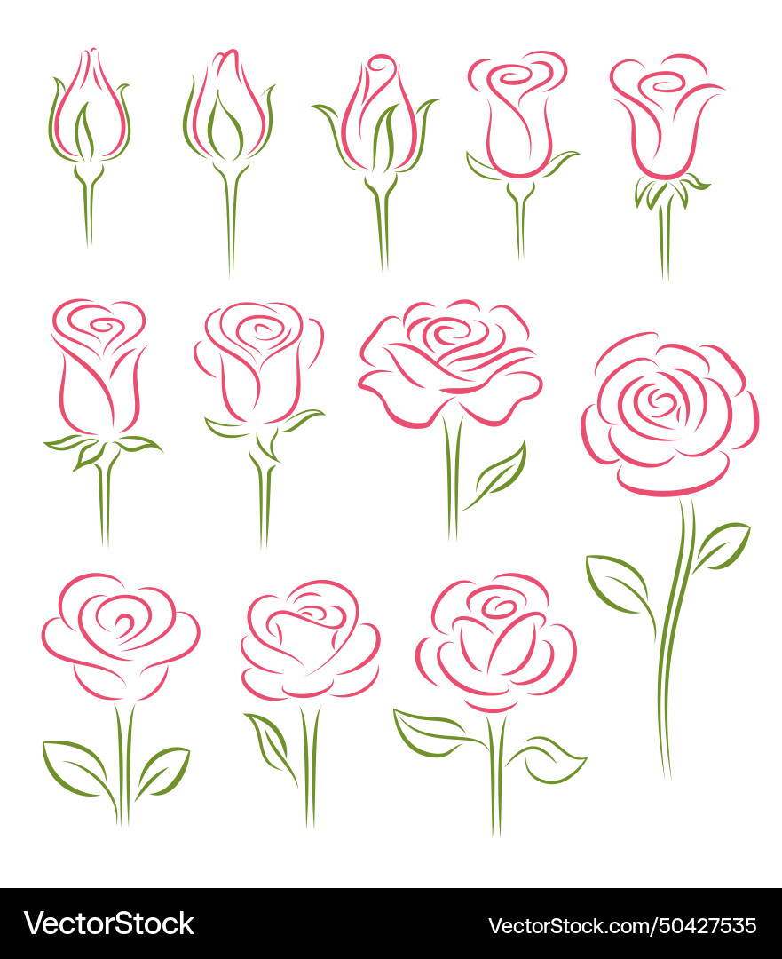 Roses design elements Royalty Free Vector Image