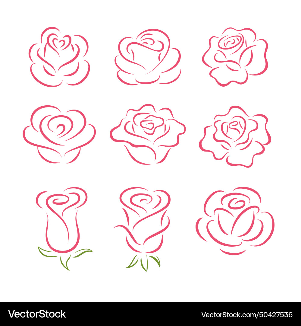 Roses design elements Royalty Free Vector Image