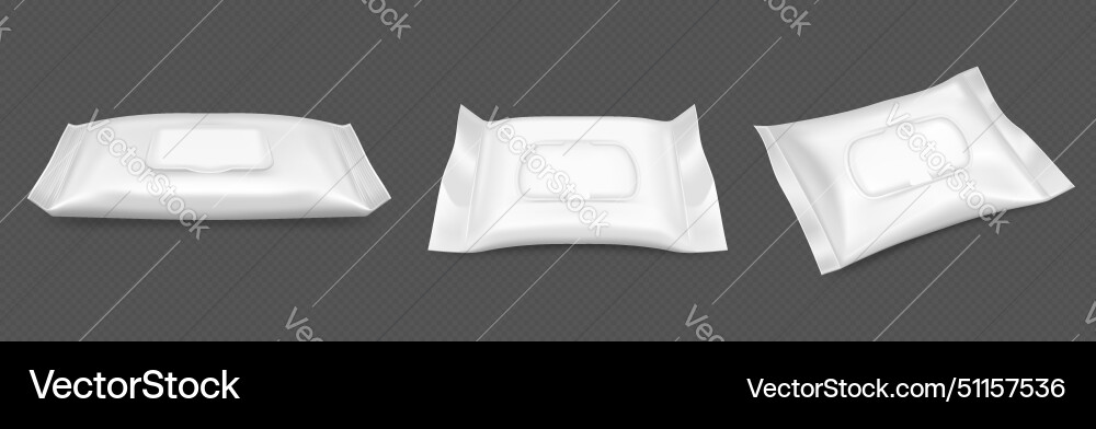 Wet wipe package with plastic flap mockup Vector Image