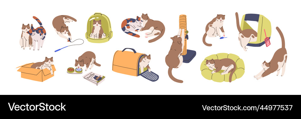 Cute cat activities set funny kitty feline Vector Image