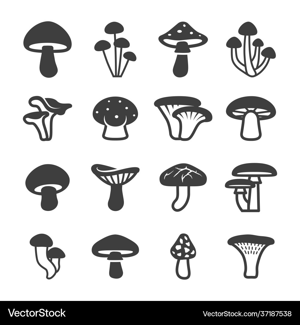 Musroom Vector Images (22)