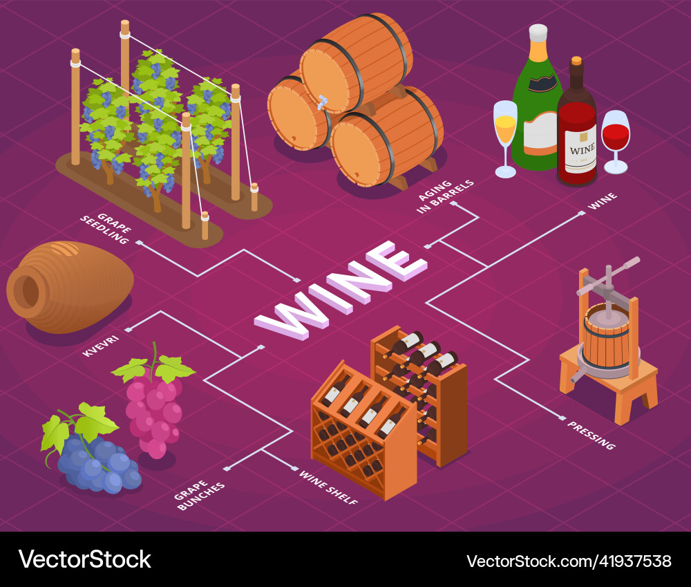 Wine production flowchart Royalty Free Vector Image