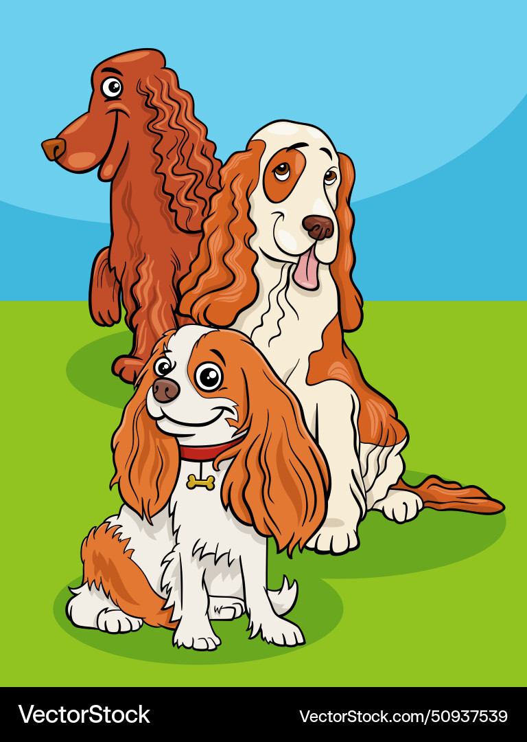 Cartoon purebred spaniel dogs comic characters Vector Image