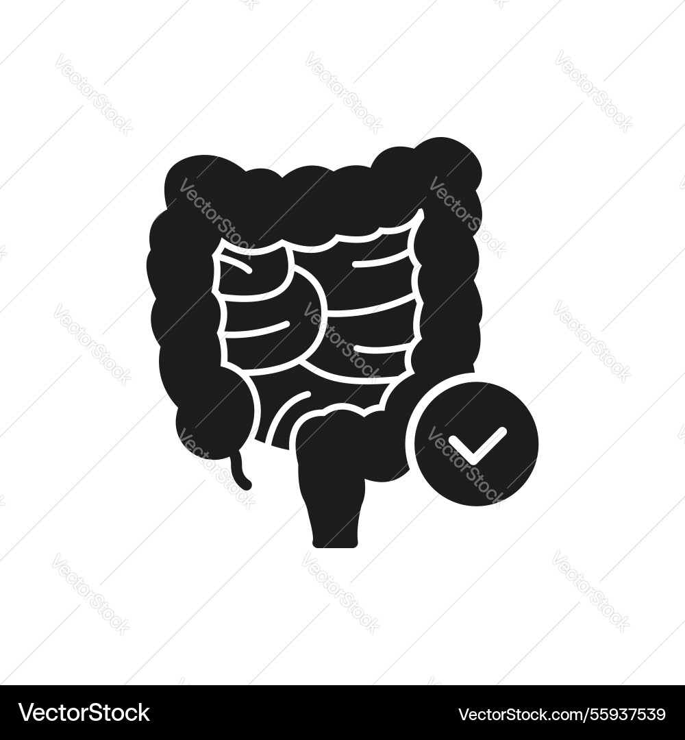 Healthy digestive system solid icon gut health Vector Image