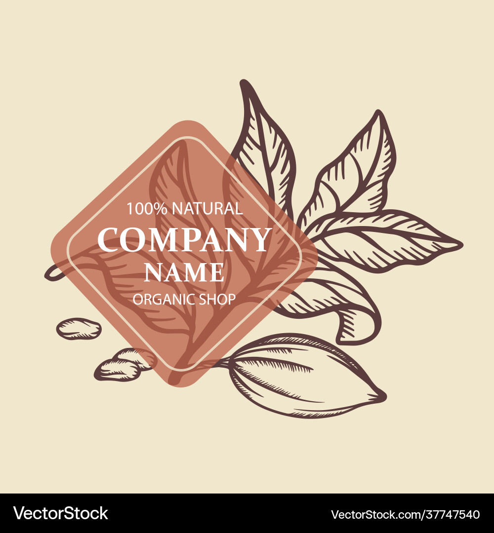 Cocoa in sketch design sticker label Royalty Free Vector