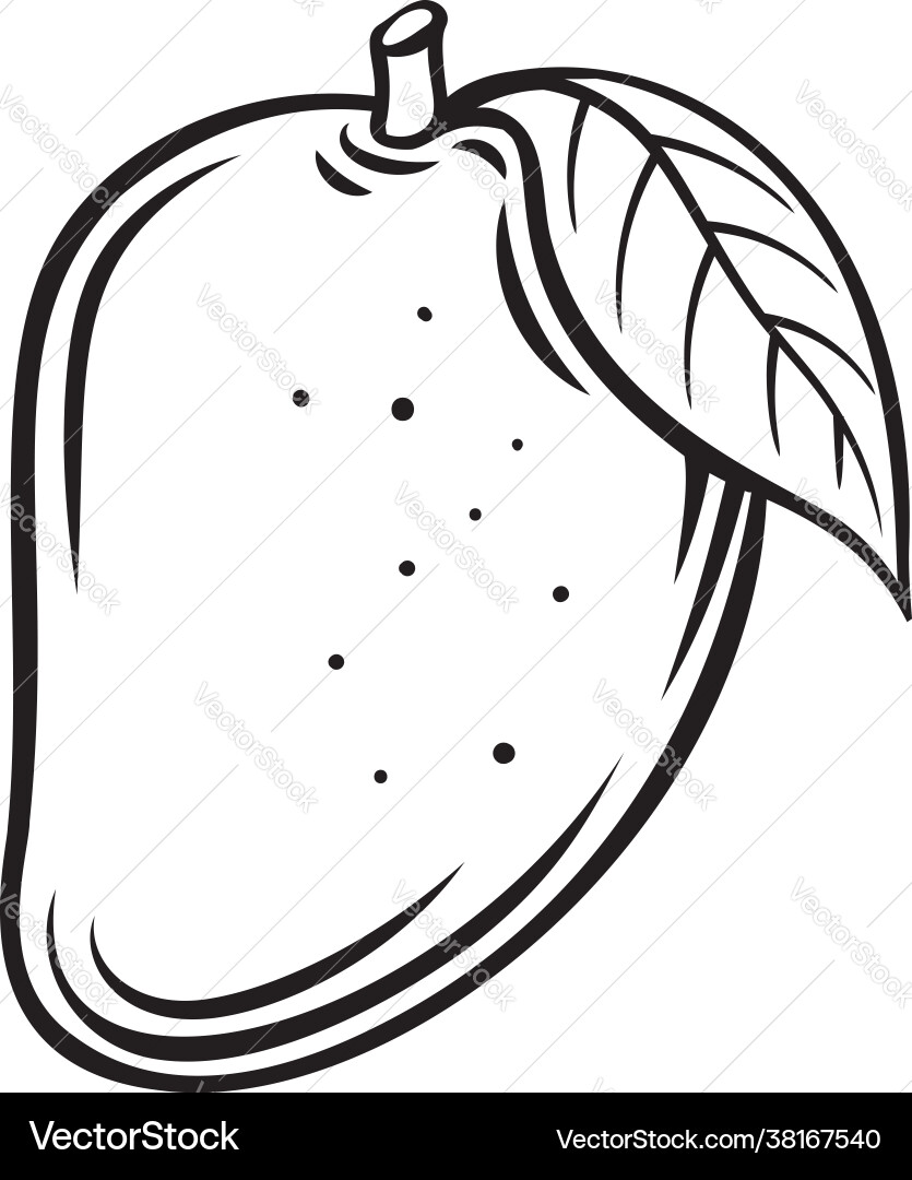 Mango Drawing Outline Mango Drawing Vector Graphic Element PNG Images