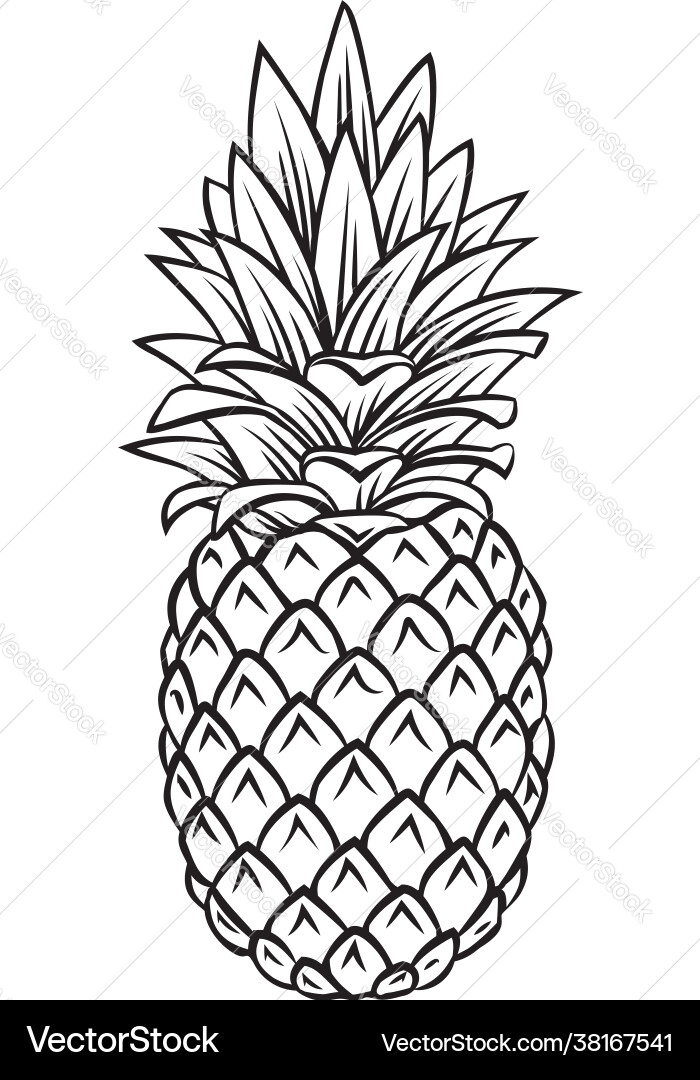 Pineapple Outline New Arrival} Laura Heine Pineapple Collage Pattern