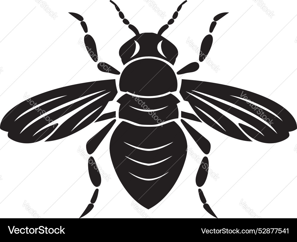 Sculpted elegance in sound a primate tribute Vector Image