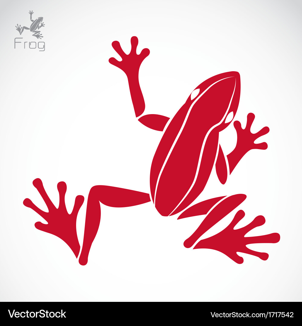 Frog Royalty Free Vector Image - VectorStock