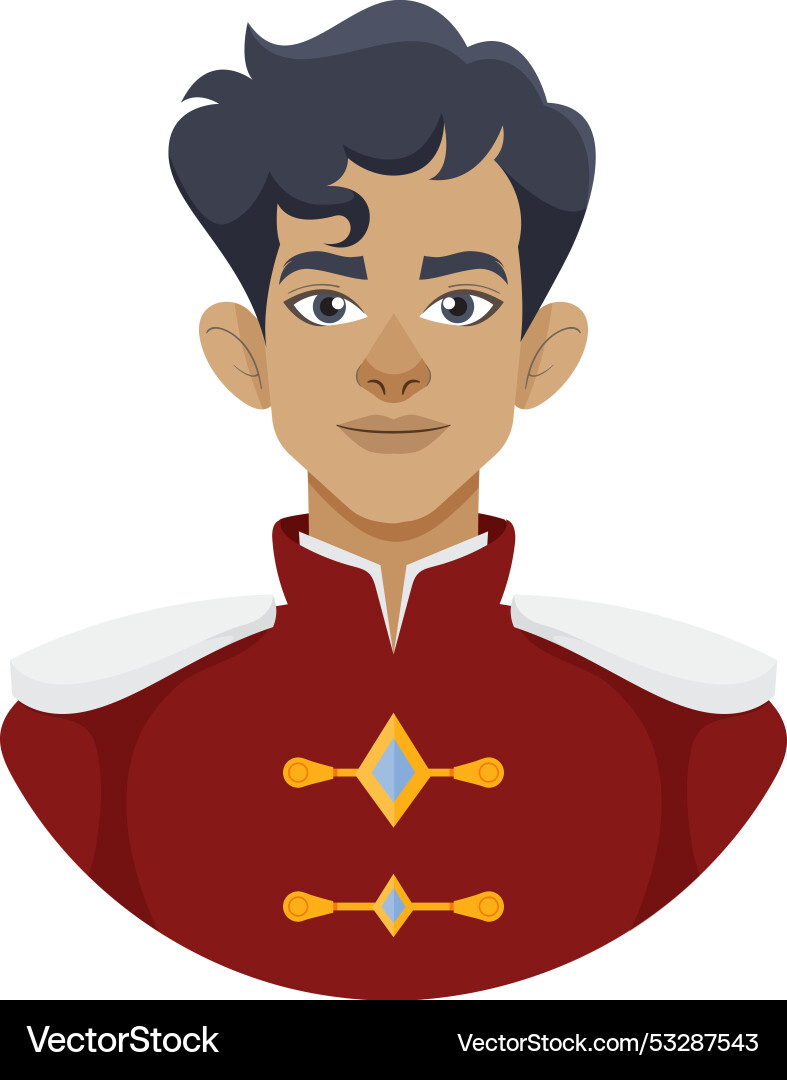 A prince in royal attire Royalty Free Vector Image