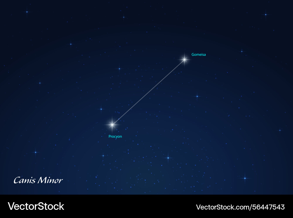 Canis minor constellation with star names Vector Image