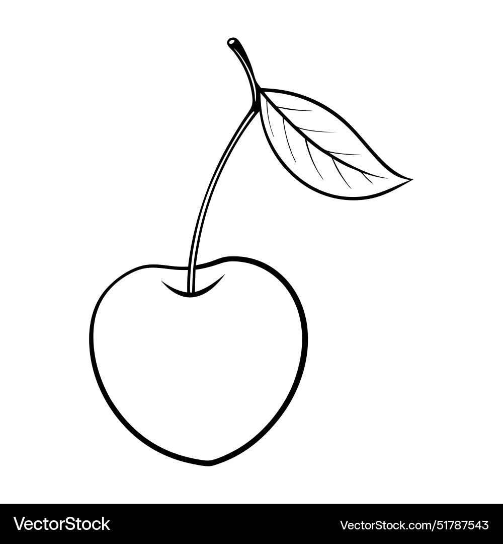 Cherry line art Royalty Free Vector Image - VectorStock