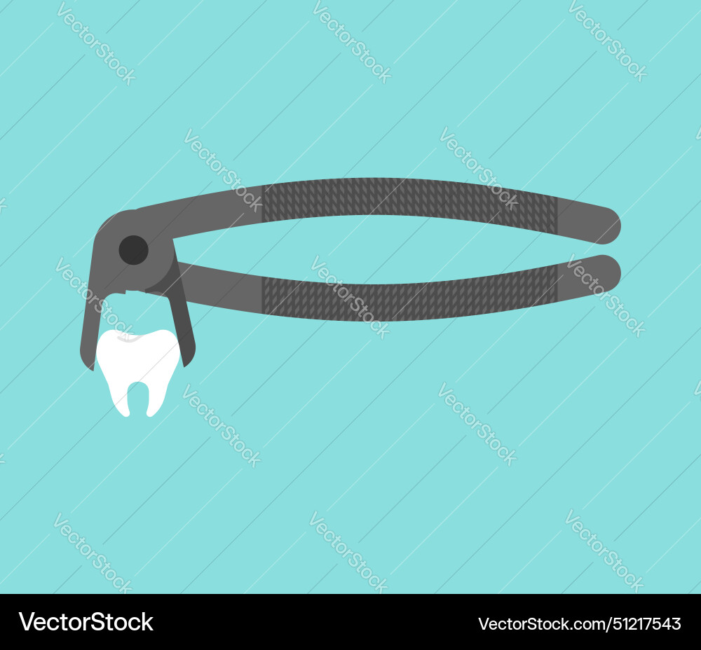 Teeth forceps isolated dentist tool for pulling Vector Image