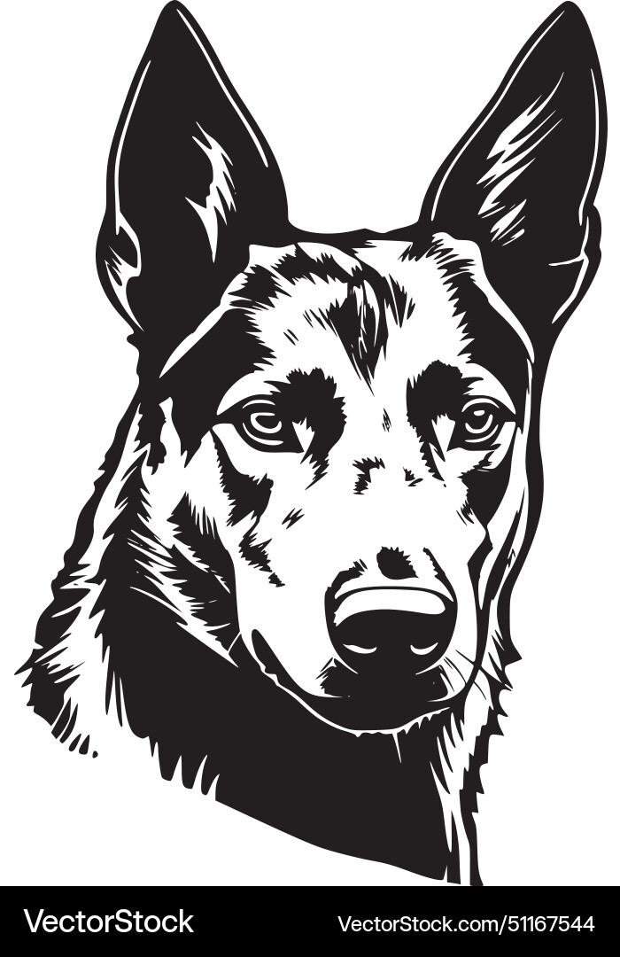 Australian kelpie - black and white Royalty Free Vector