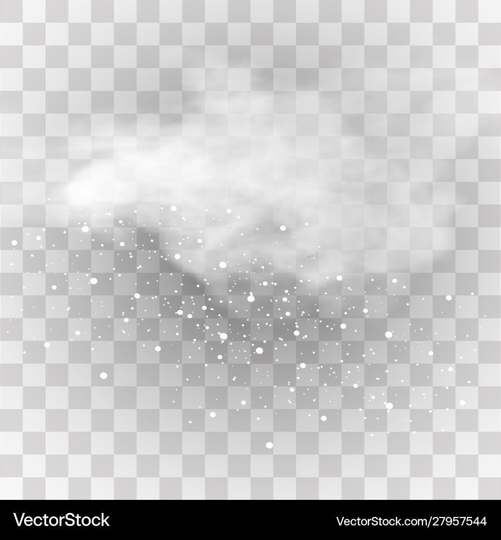 Snow and wind on a transparent background white Vector Image