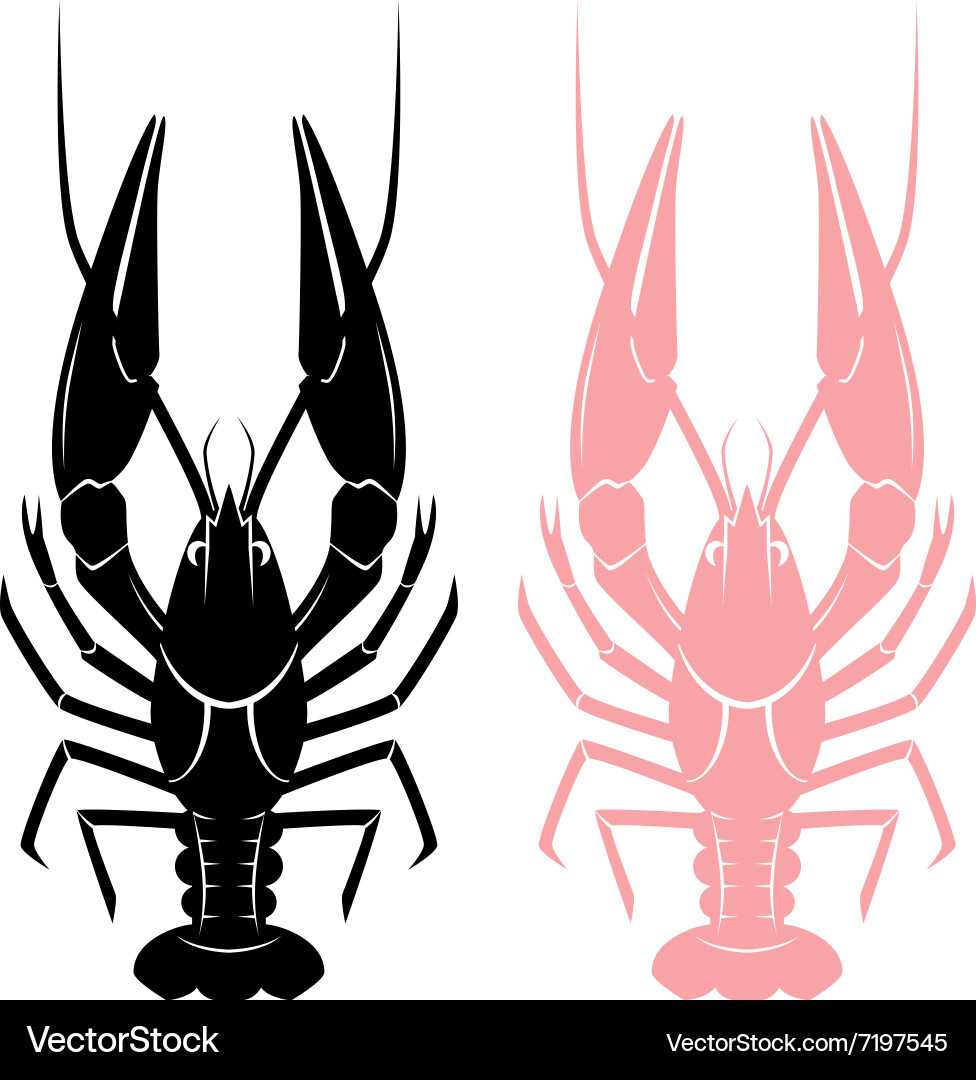 Zodiac Sign Crawfish Vector Images (96)
