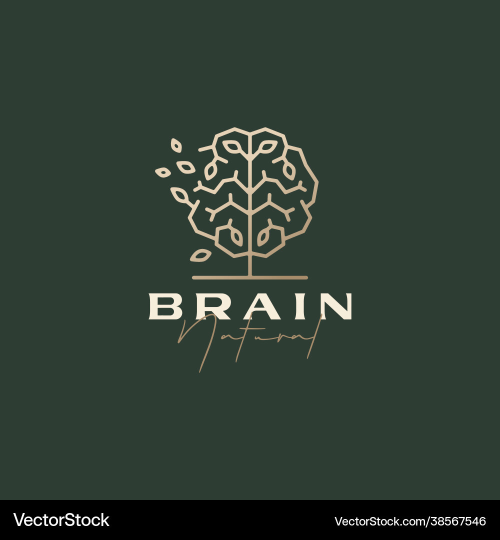 Smart Brain Tree Logo Royalty Free Vector Image