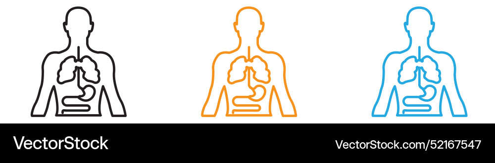 Human body anatomy icon logo set collection Vector Image