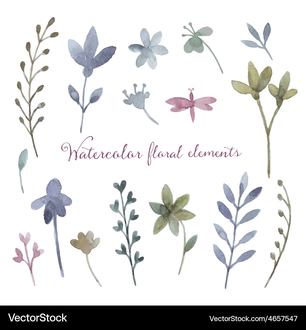 Watercolor set Royalty Free Vector Image - VectorStock