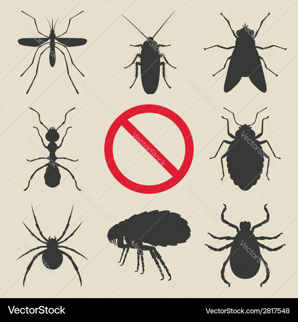 Dead Roach Vector Images (over 540)