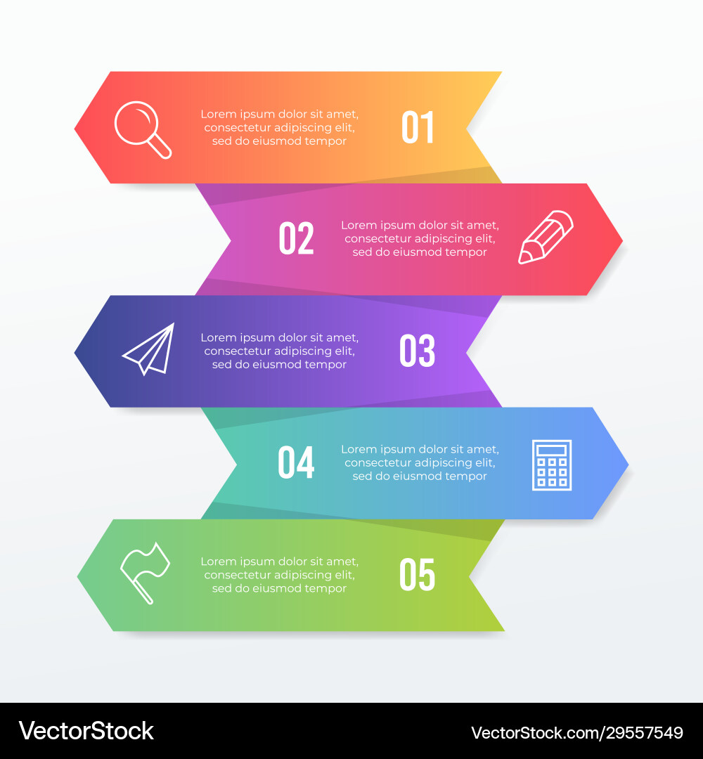 White business infographic design Royalty Free Vector Image