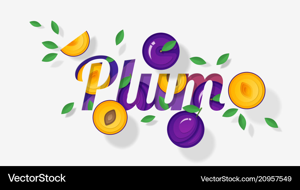 Word plum design in paper art style Royalty Free Vector