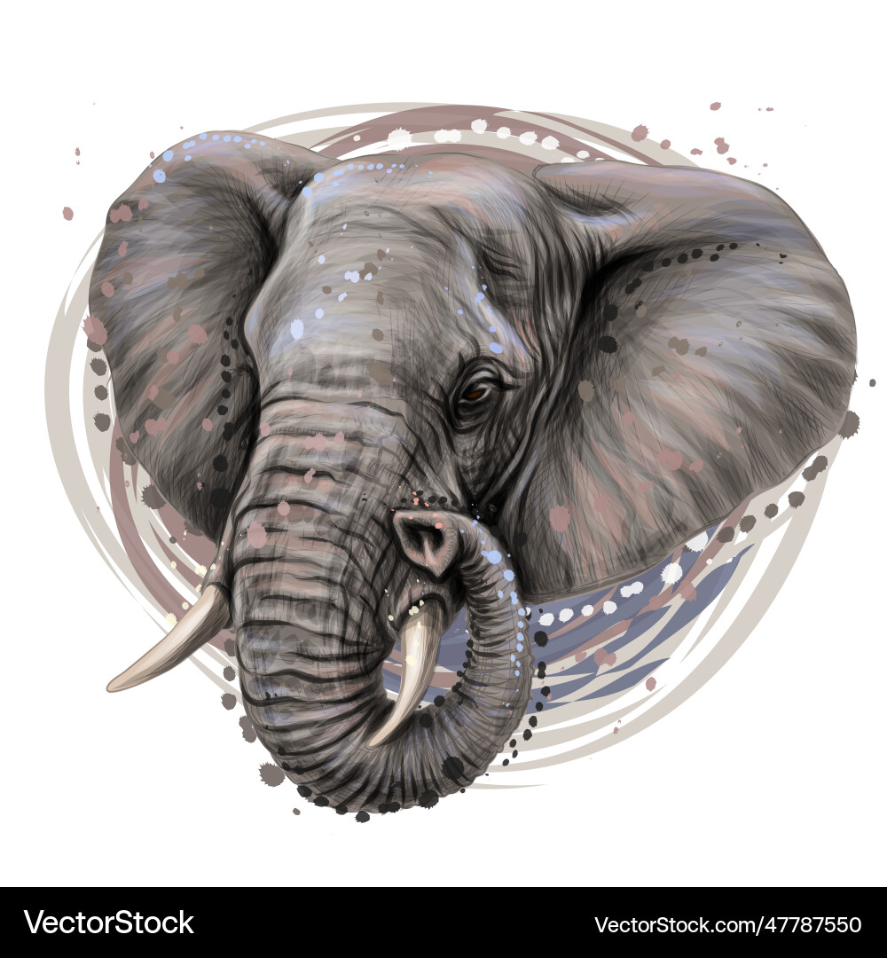 Elephant graphic color portrait Royalty Free Vector Image