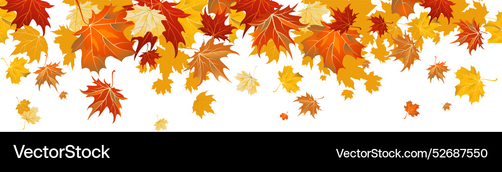 Maple leaves border Royalty Free Vector Image - VectorStock