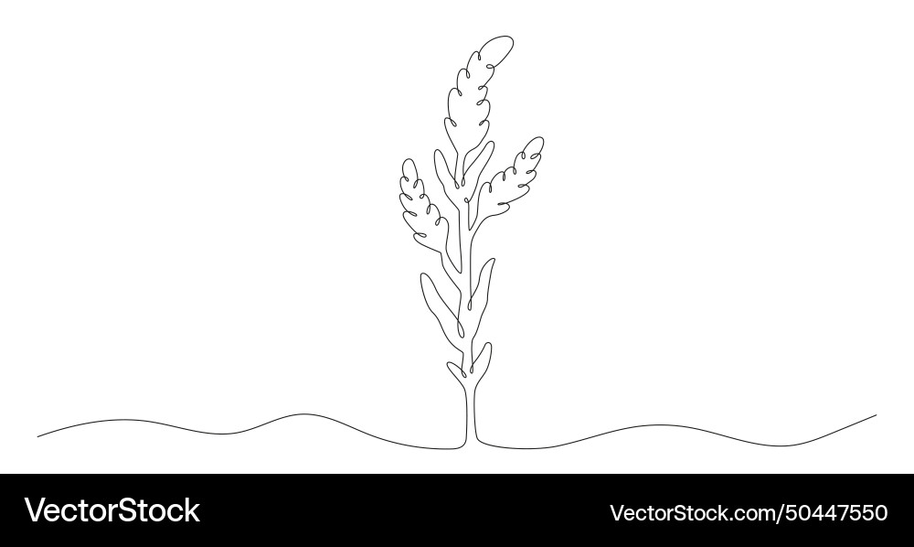 Meadow flower in continuous line art Royalty Free Vector