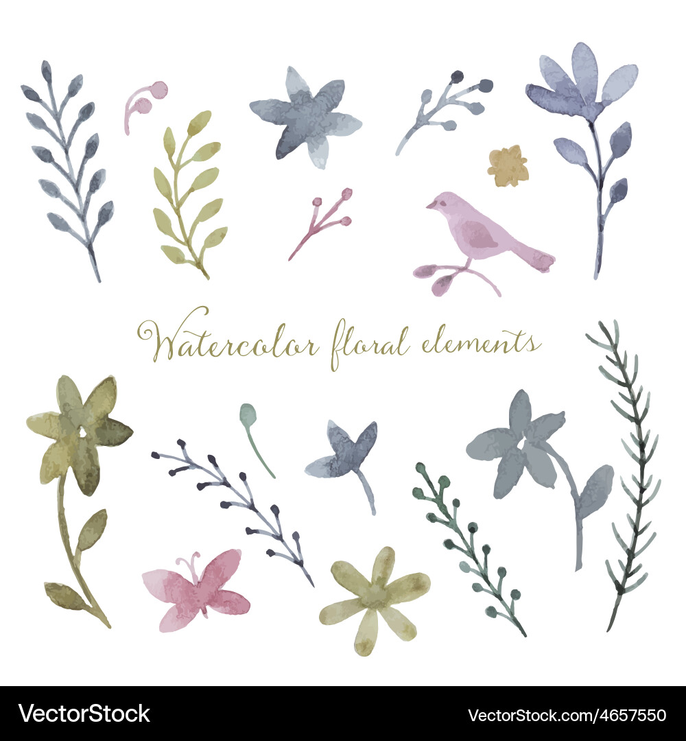 Watercolor set Royalty Free Vector Image - VectorStock