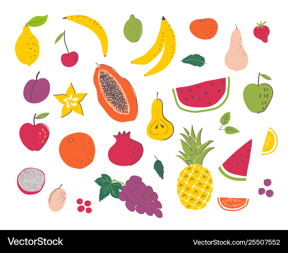 Fruits hand draw set – Royalty-Free Vector | VectorStock