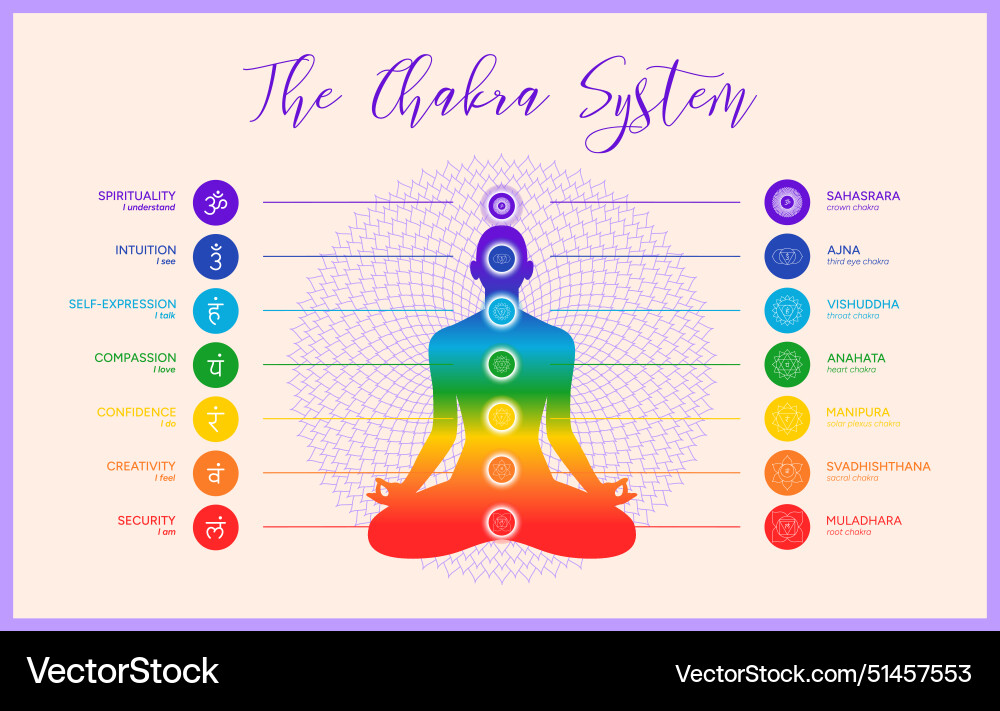Chakra system infographic names titles symbols Vector Image