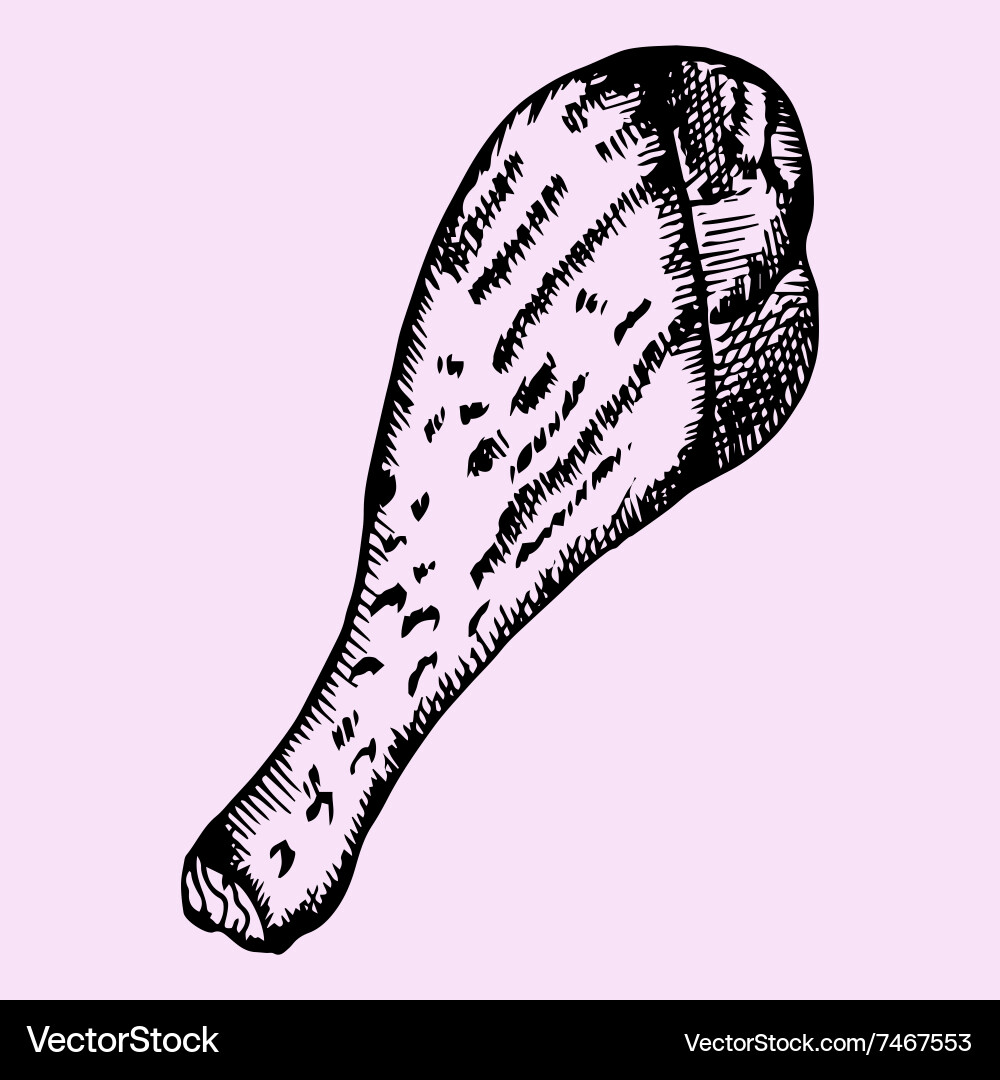 Chicken leg Royalty Free Vector Image - VectorStock