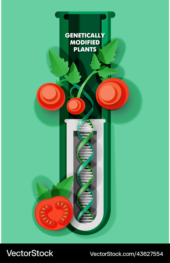 Genetically modified tomato plant 3d poster Vector Image